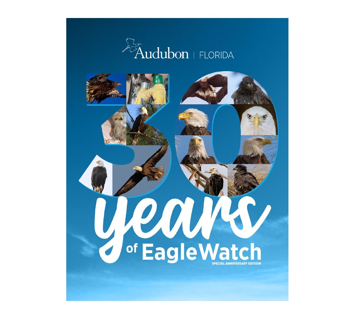 EagleWatch | Audubon